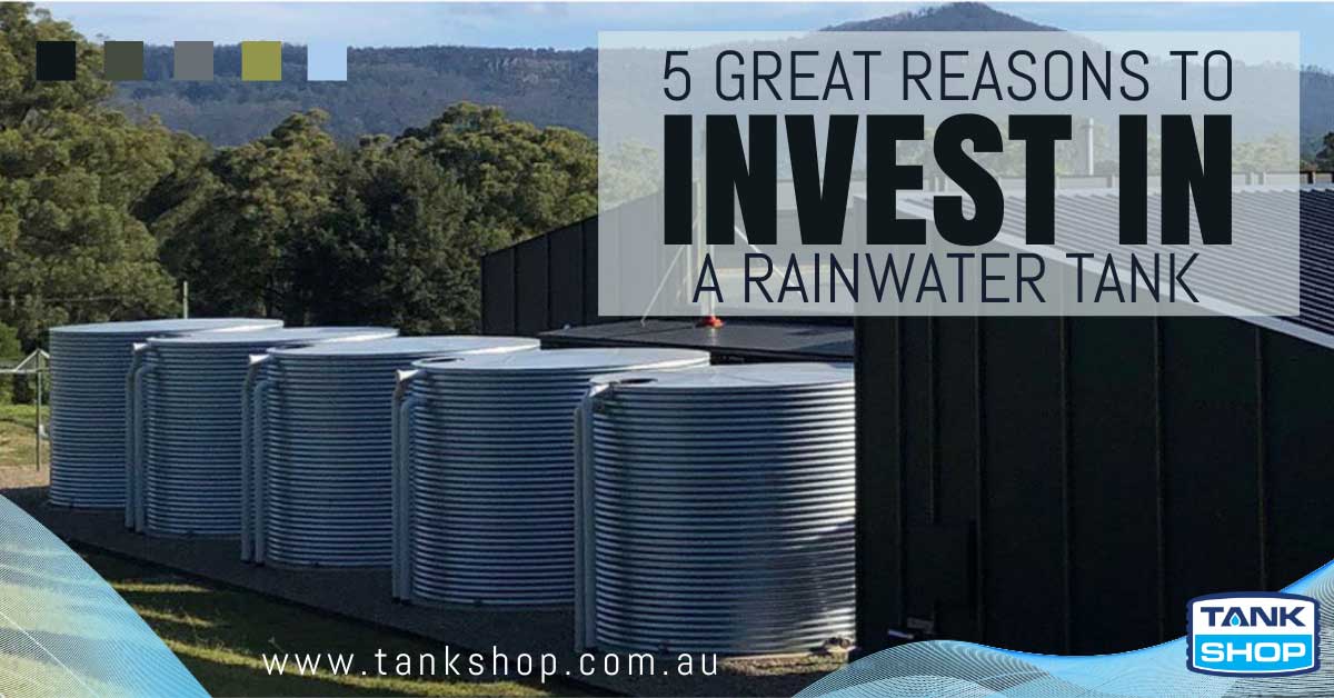 5 Great Reasons to Invest in a Rainwater Tank - Tank Shop